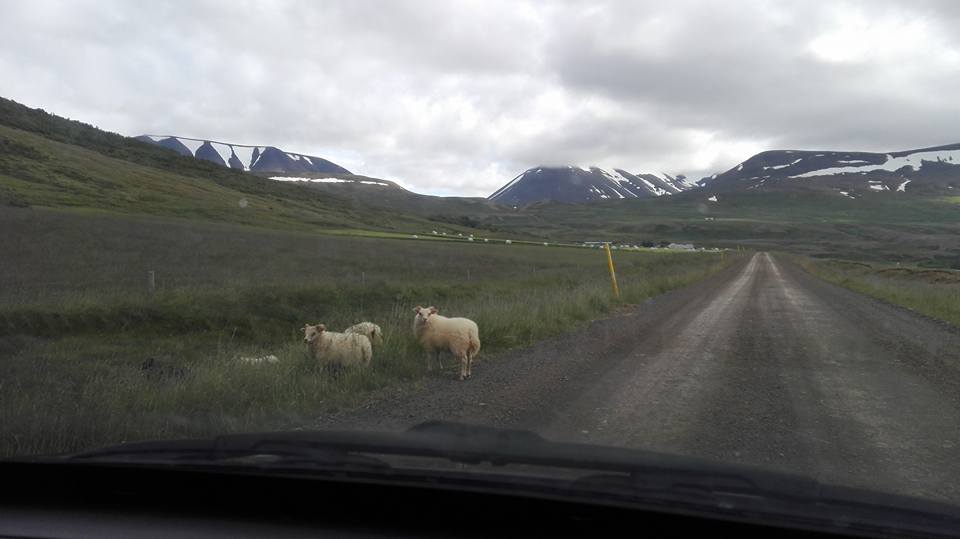 Introduction - about me. - Monika's page